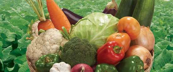 Agro Products | Jardine Distribution Inc. Philippines